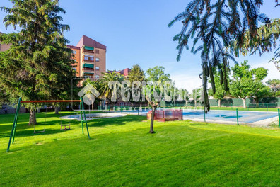 Milanuncios - Colmenar Viejo