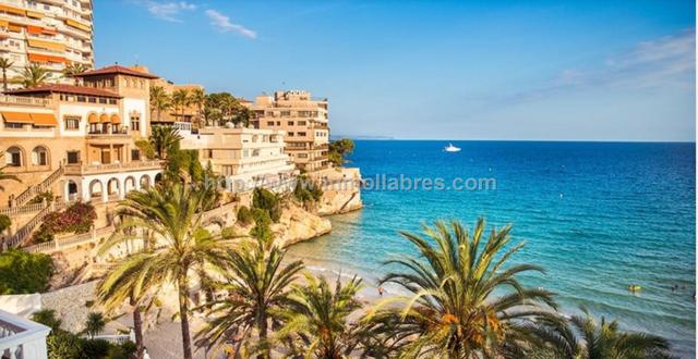 Milanuncios - Palma de Mallorca