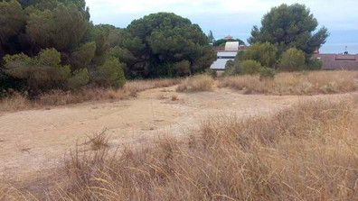 Milanuncios - Arenys de Mar
