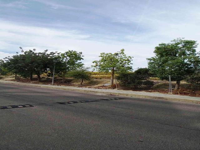 Milanuncios - Sevilla Capital