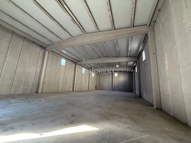 Milanuncios - Palma de Mallorca