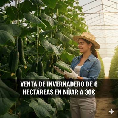 Fincas rústicas en venta y alquiler en Nijar. Comprar, vender y ...