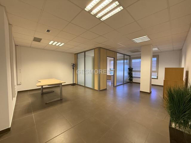 Milanuncios - Palma de Mallorca