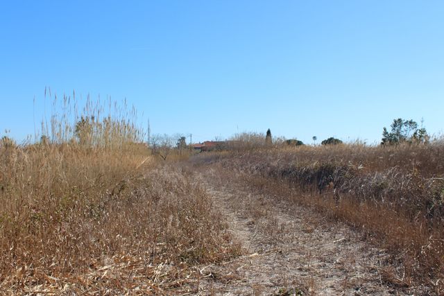 Milanuncios - Castellón de la Plana / Castelló de la