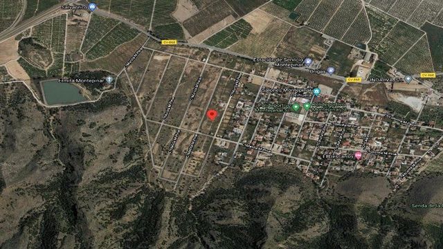 Milanuncios - Orihuela