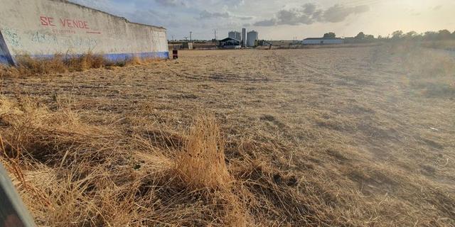 Milanuncios - Daimiel