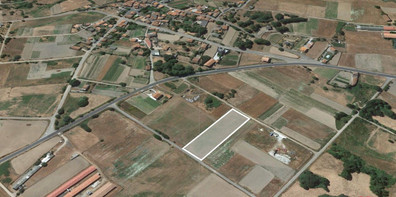 Milanuncios - Os Blancos