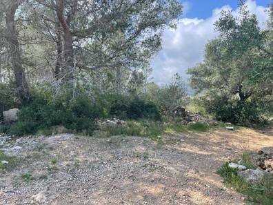 Fincas rústicas en venta y alquiler en Mont Roig del Camp. Comprar ...