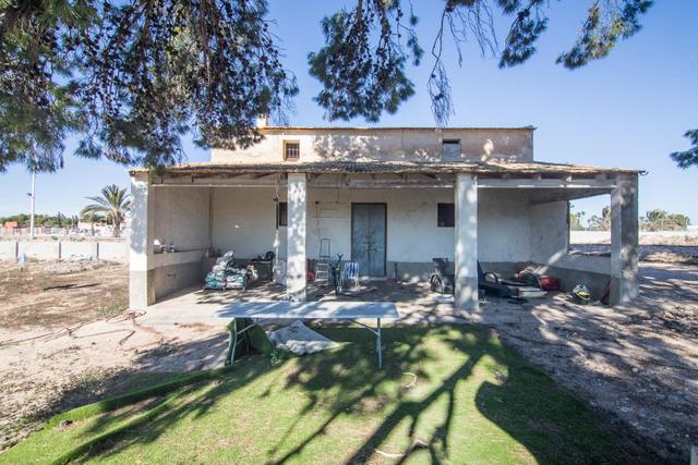 Milanuncios - Elche / Elx