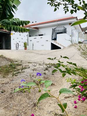 Casas en alquiler en Las Palmas de Gran Canaria | Milanuncios