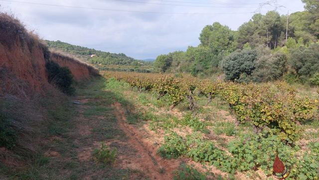 Milanuncios - Albinyana